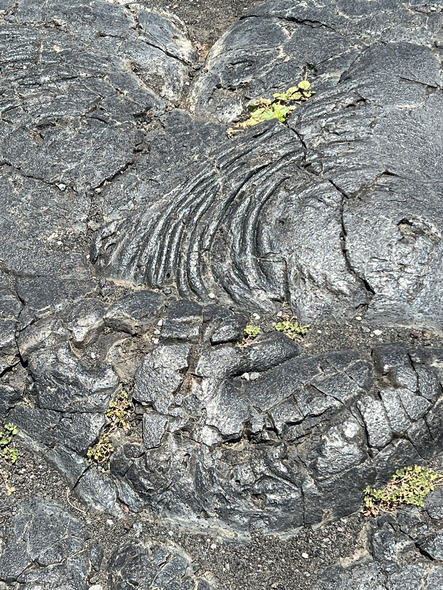 The Power of the Rock – Adopted Through Grace